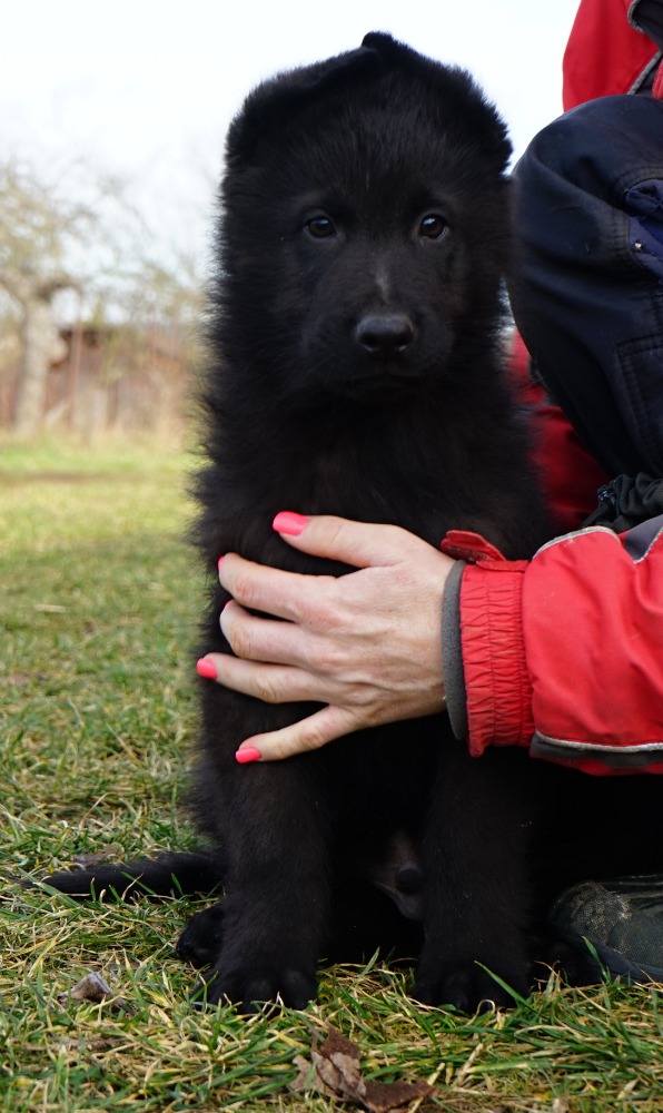 A'BRUNO pod Blanikem x ANKA Siban