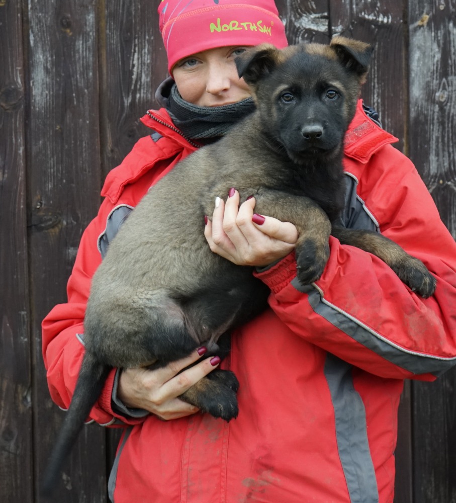 Thomas Jipo-Me x Voxxi Jipo Me