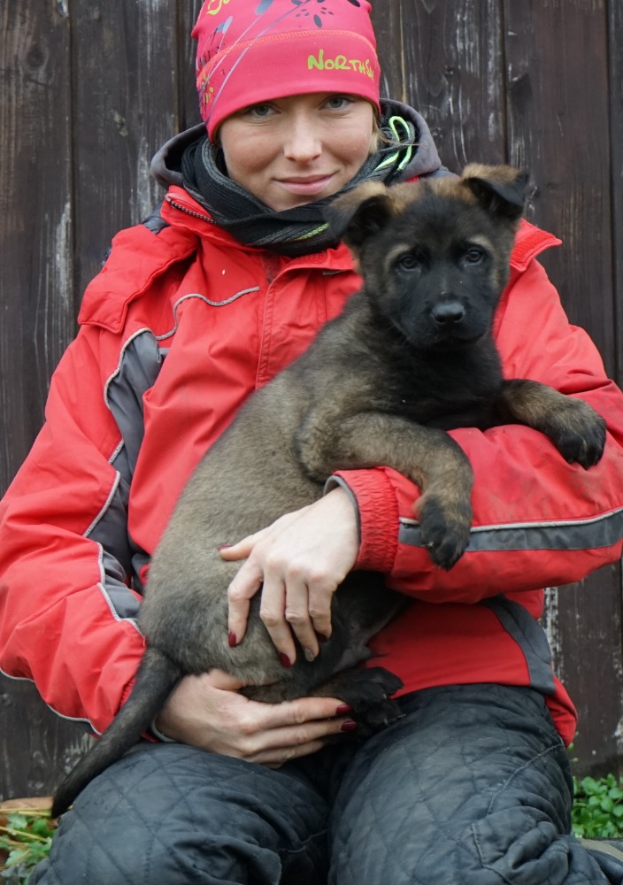 Thomas Jipo-Me x Voxxi Jipo Me