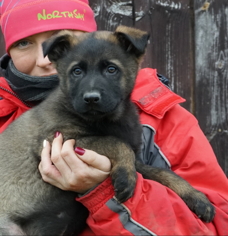 Thomas Jipo-Me x Voxxi Jipo Me